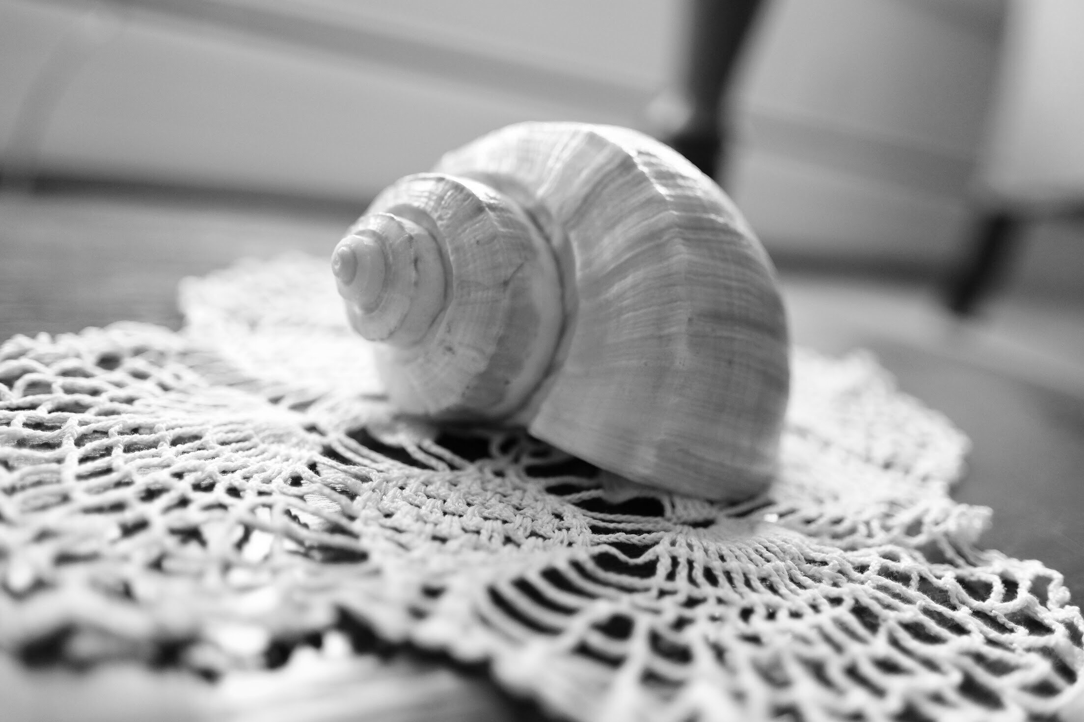 Attempt 187 – Seashell – Composing Catholic