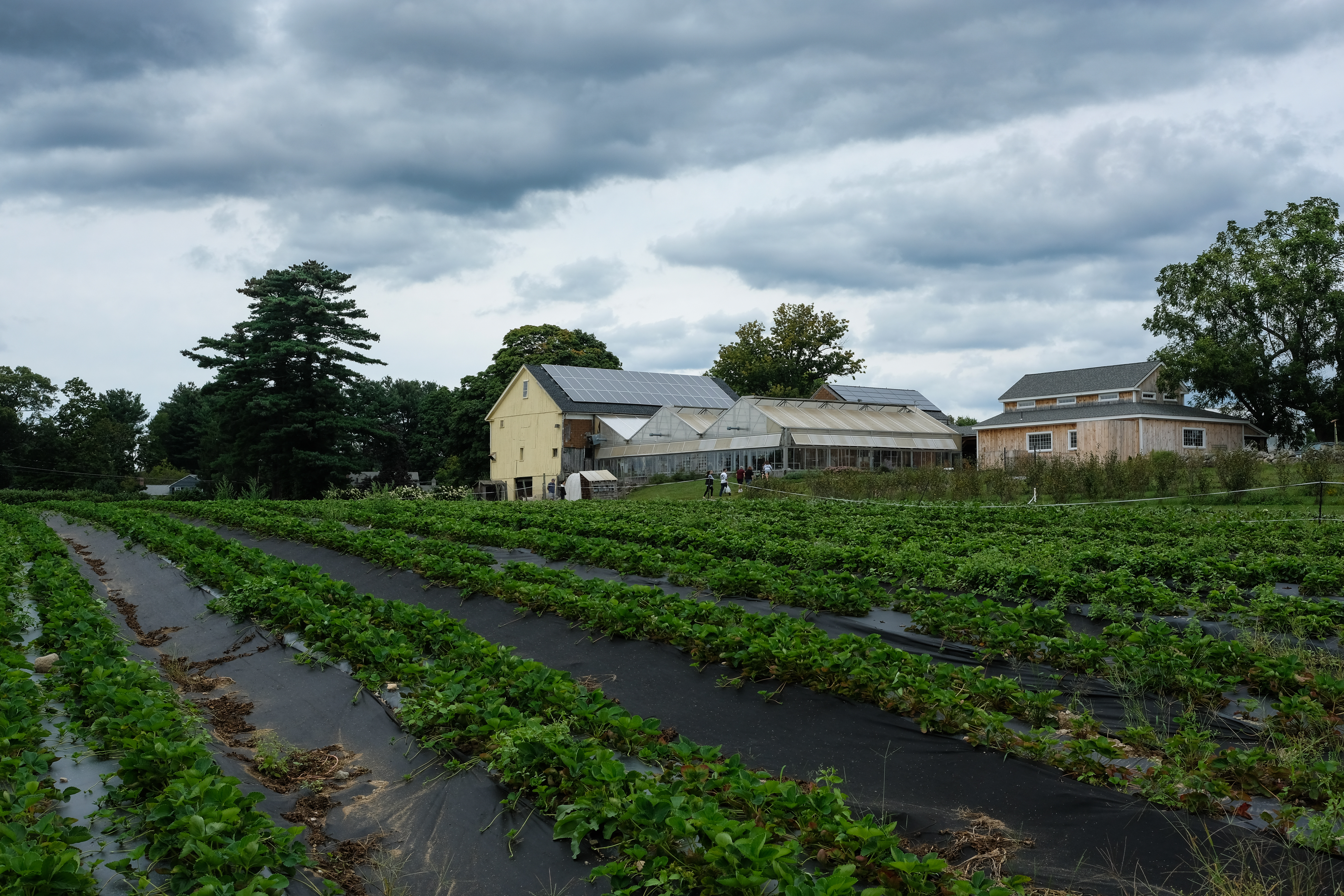 Farm Life – Composing Catholic