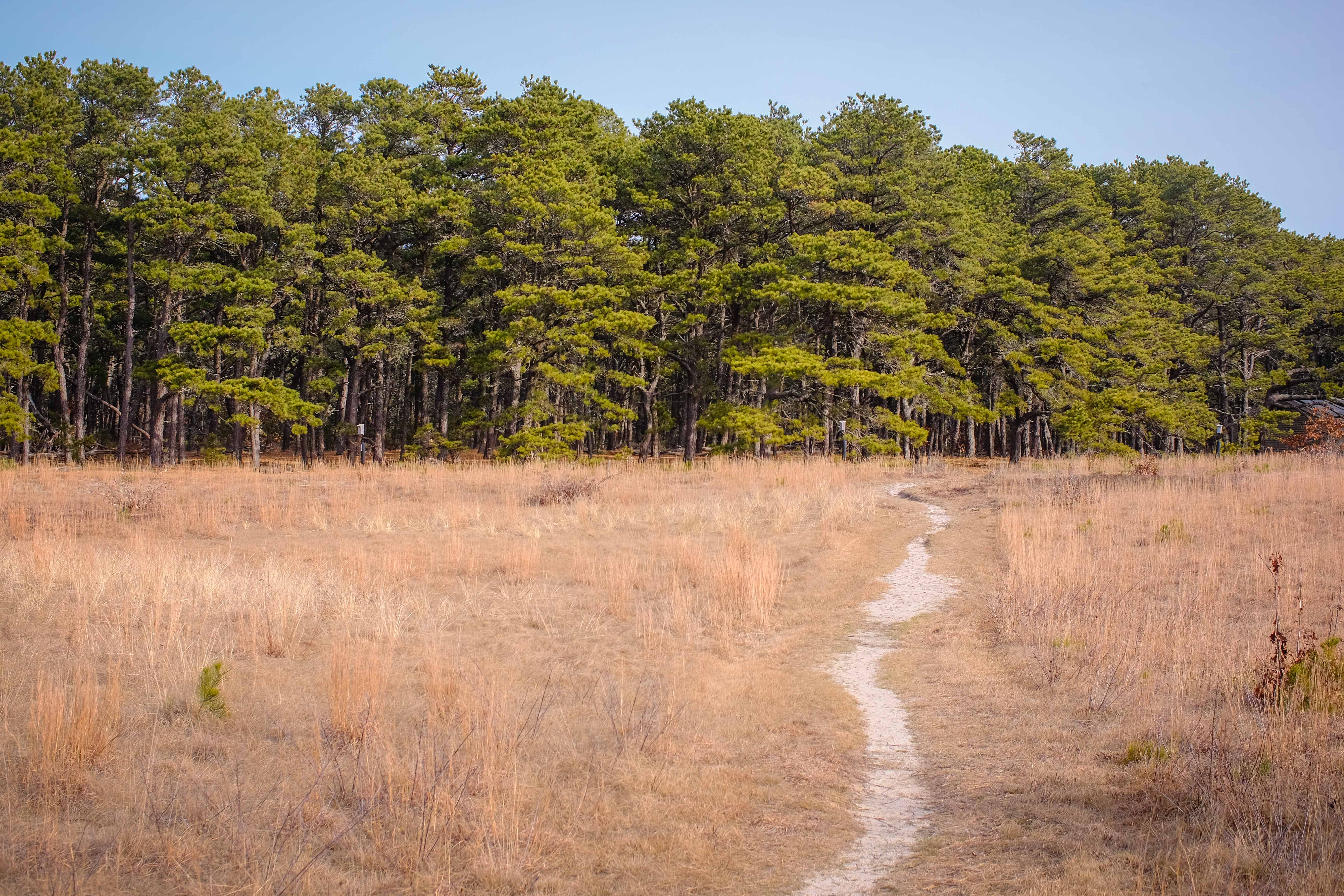 Follow the Path – Composing Catholic