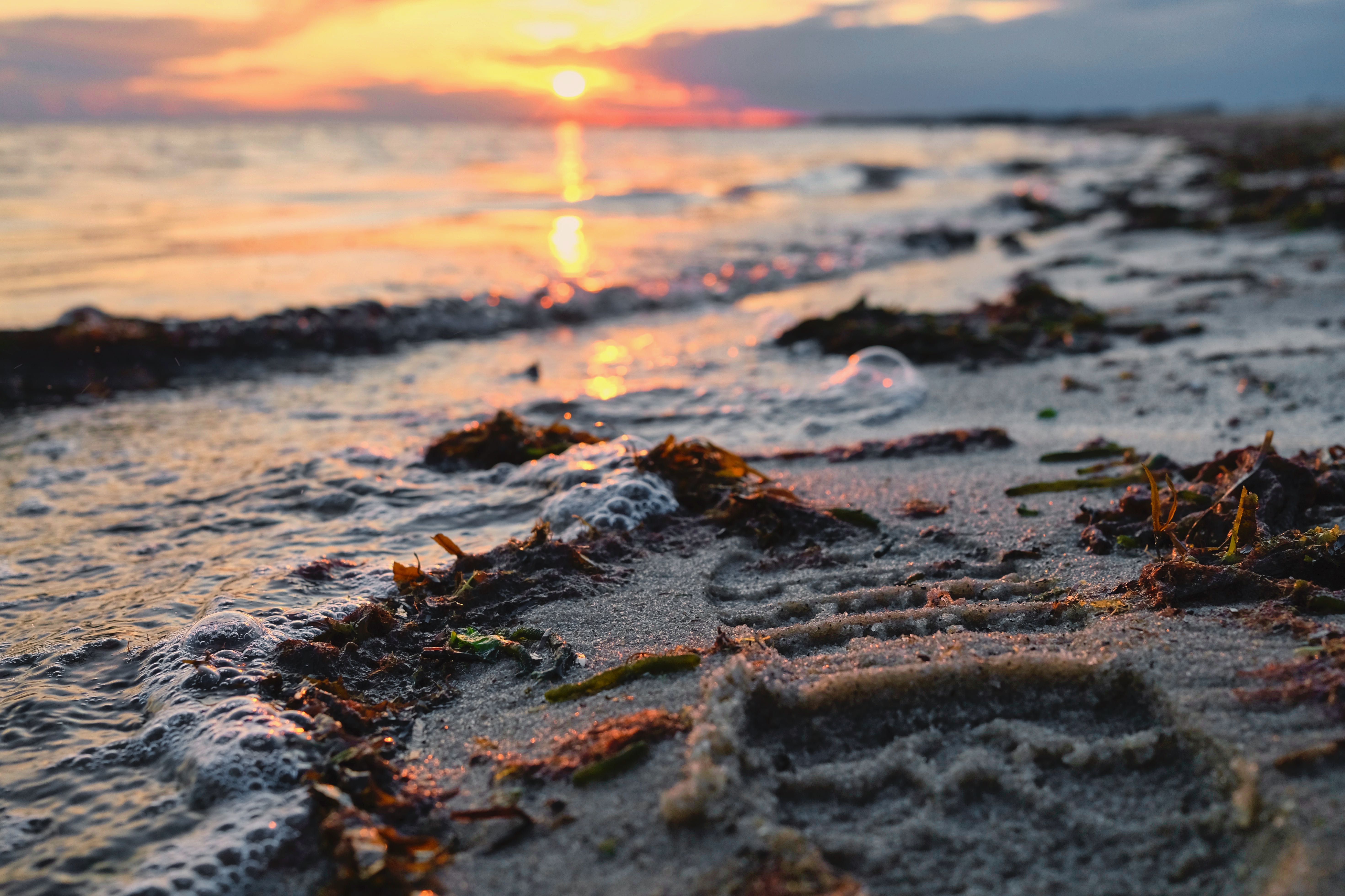 A Single Step – Composing Catholic