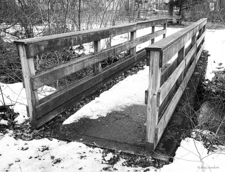 If not now, when? A reflection by Richard Raab – Composing Catholic