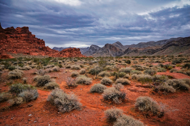 Entering the Desert: A Homily by Deacon Alan Doty – Composing Catholic
