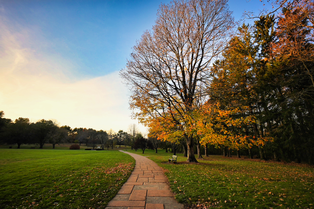 Discovering the Beauty of a Relational Faith: A Homily by Deacon Alan ...