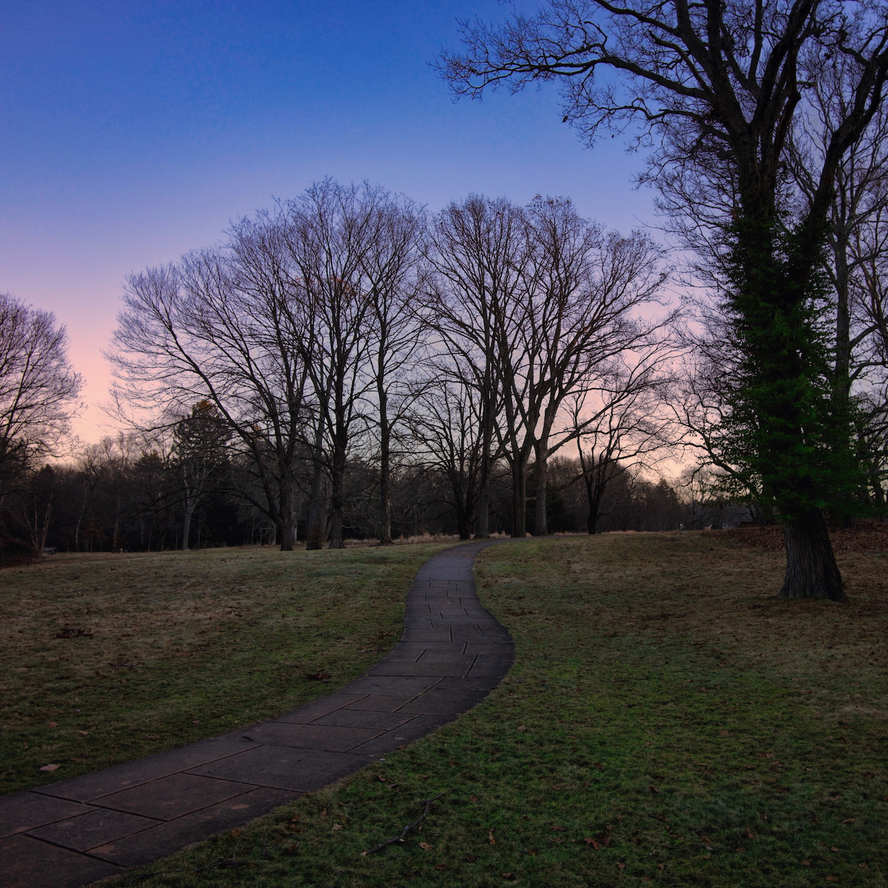 “Moving to the Center with Christ”, a Homily by Deacon Richard Raab ...