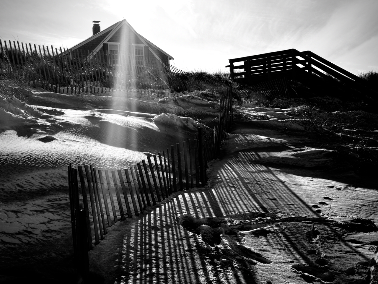 Winter Walk #12 – Composing Catholic